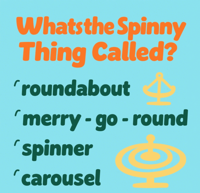 Common Types of Playground Spinners